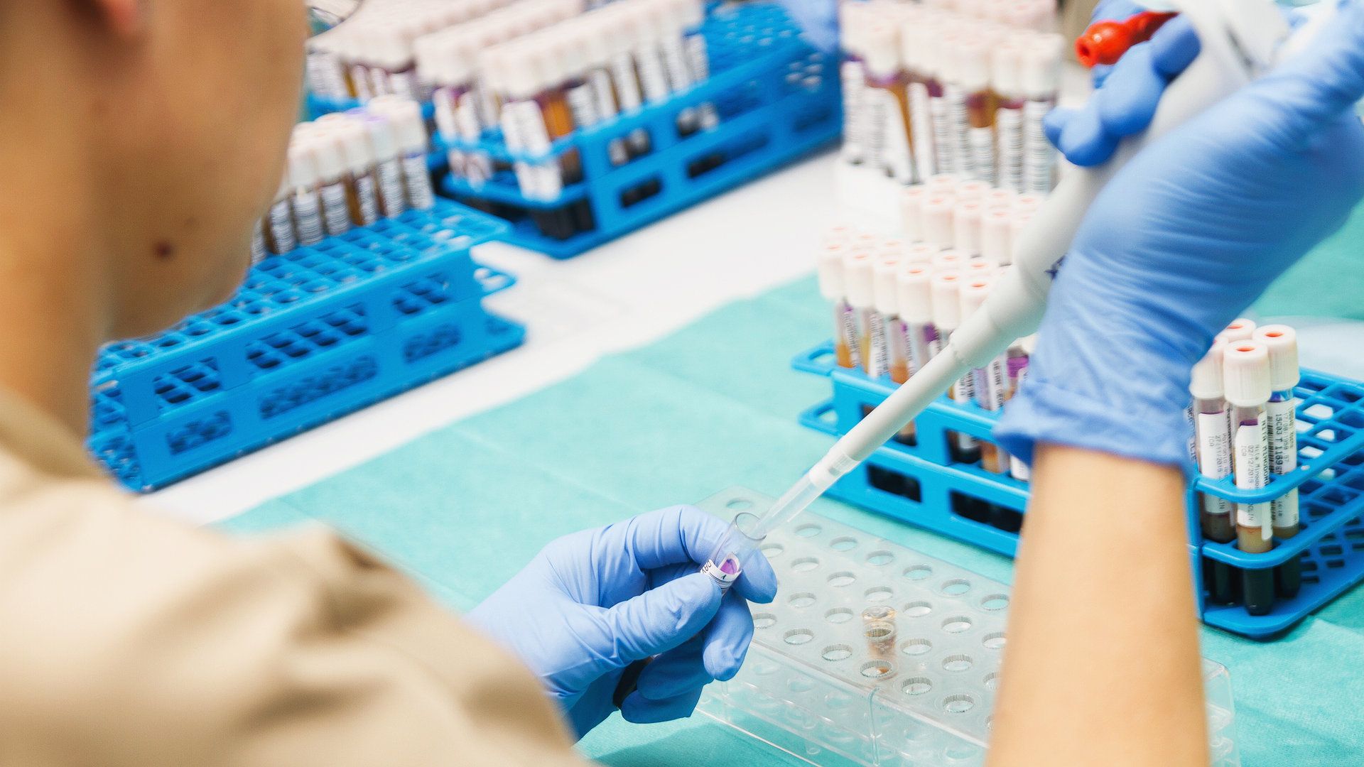 SOC. BIOCLINICA SA - Locuri de munca, Joburi, Angajari, Cariere - eJobs.ro